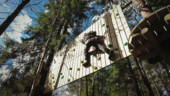 i̇pli oyun park Koshkino Park Sequoia, Saint‑Petersburg ve Leningradskaya oblastı, foto
