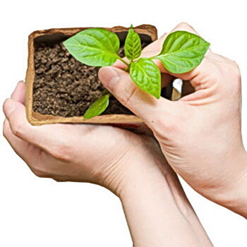 Paketleme malzemeleri firmaları Оптиком, Moskova, foto