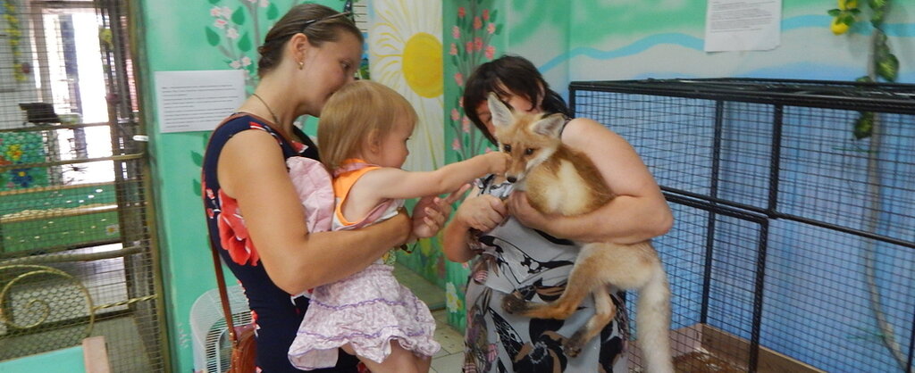 Hayvanat bahçeleri Kontaktny zoopark Tsarstvo zverey, Ulyanovsk, foto