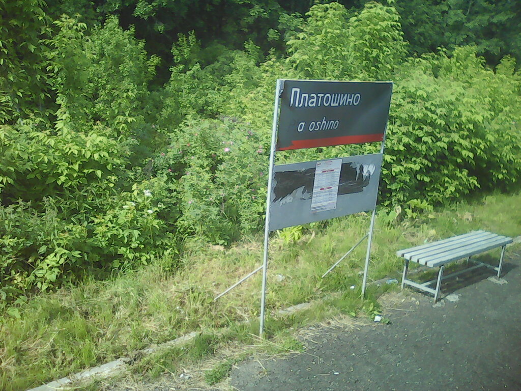 Tren istasyonu Платошино, Permski krayı, foto