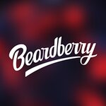 IT-studiya Beardberry (Komsomolskaya ulitsa No:81), bilişim firmaları  Yelets'ten