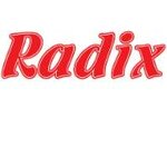 Radix (Tekuchyova Street No:37А), mefruşat  Rostov‑na‑Donu'dan