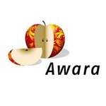 Awara (Tchaikovskogo Avenue No:28/2), muhasebeciler  Tver'den