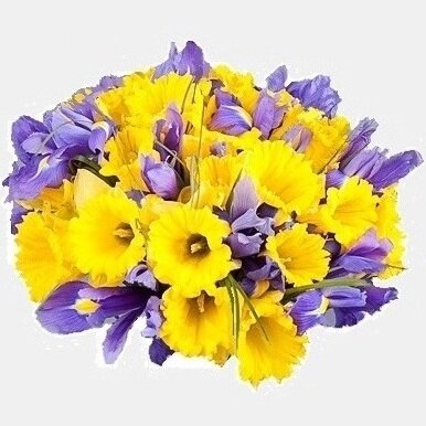 Bahçecilik mağazaları Pro-flora, Aksay, foto