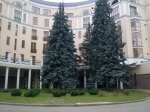 TSZh Klubny dom Chayka (Nikolsky Blind Alley No:2к1, Moscow), bina, site yönetimi  Moskova'dan