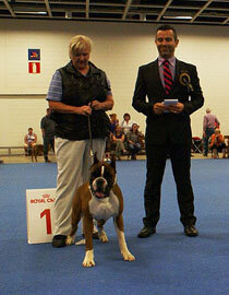 Evcil hayvan yetiştiricileri Pitomnik Liberum avis, Saint‑Petersburg ve Leningradskaya oblastı, foto