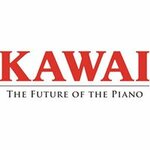 Kawai (Dubininskaya Street No:57с4), enstrüman mağazaları  Moskova'dan