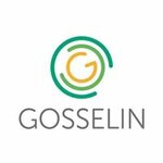 Gosselin (Profsoyuznaya Street No:56), evden eve nakliye  Moskova'dan