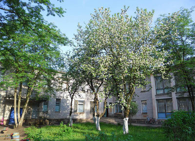 Anaokulları Detsky sad № 8, Boksitogorsk, foto