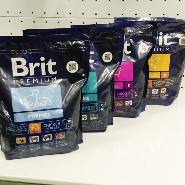 Petshop Dr. Doolittle, Krasnodar, foto