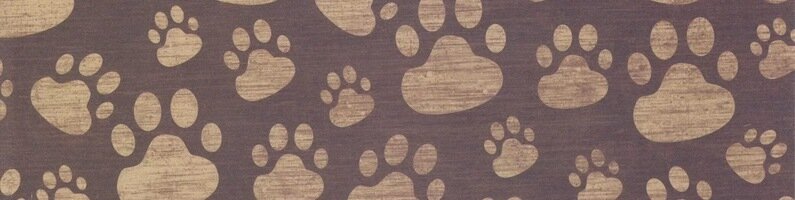 Petshop Korma po karmanu, Uhta, foto