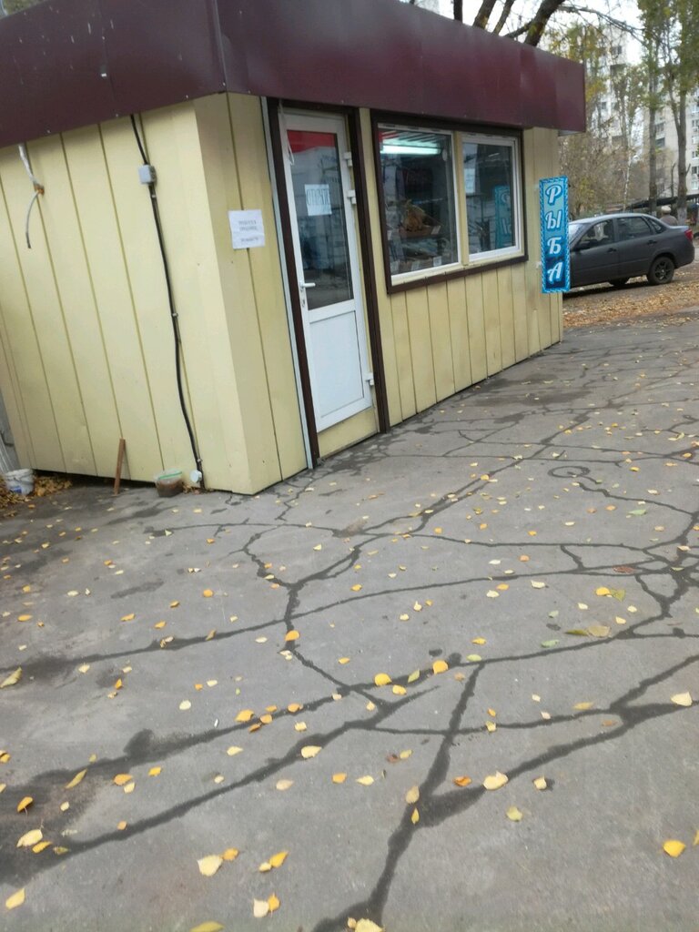 Balık ve deniz ürünleri Рыба, Voronej, foto