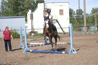 At ve binicilik kulüpleri Kk Kapriol, Saint‑Petersburg ve Leningradskaya oblastı, foto