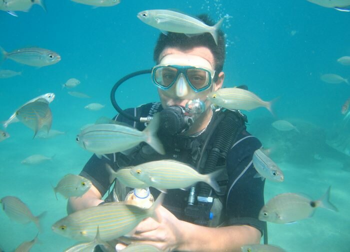Dalış kulüpleri ve eğitim merkezleri Active Blue Dalış Cankurtaran ve İlkyardım Eğitim Merkezi, Kuşadası, foto