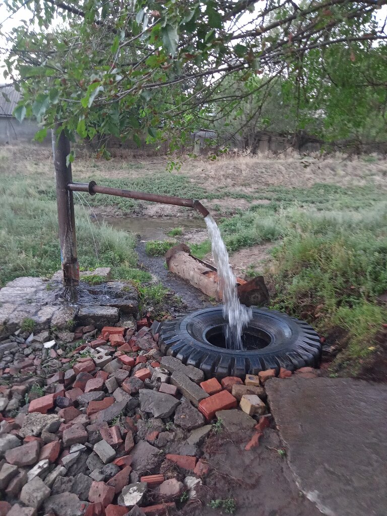 Pınar, çay Артезианский источник, Stavropolski krayı, foto