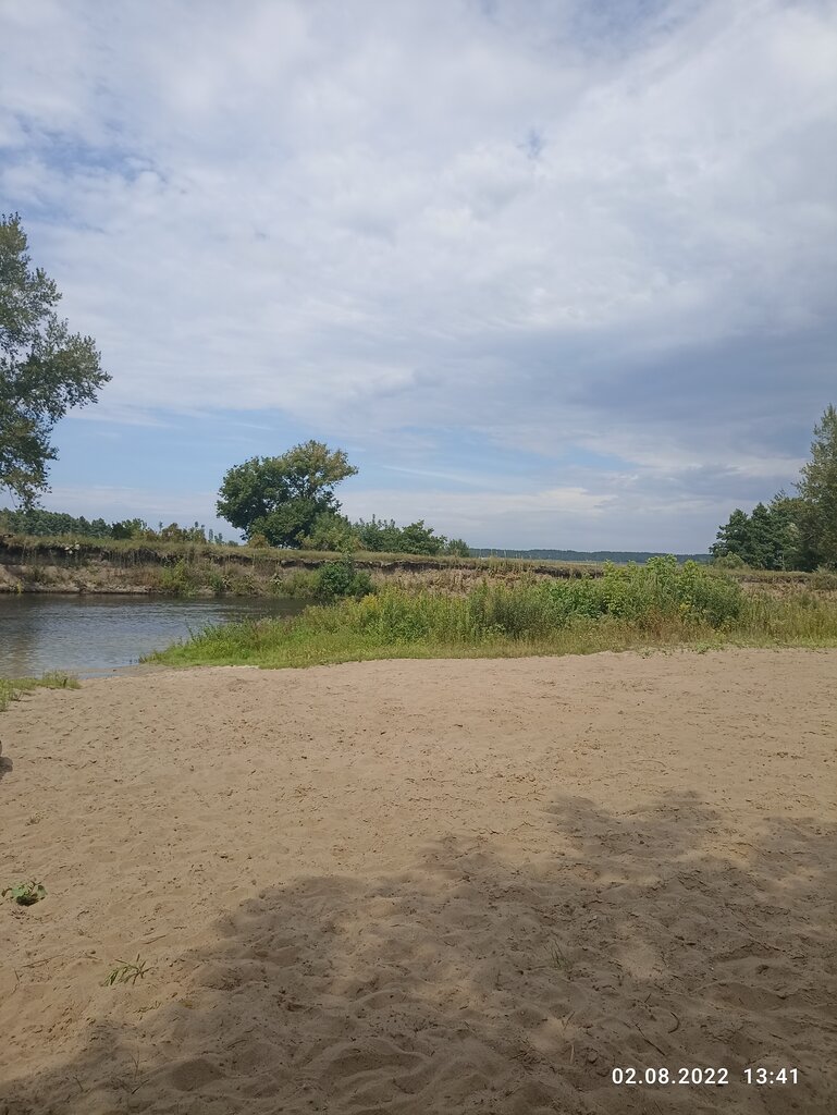 Plaj Пляж, Kurskaya oblastı, foto