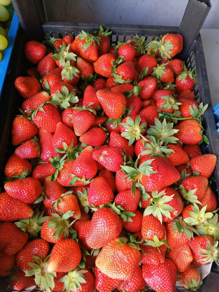 Manavlar Овощи-фрукты, Saratovskaya oblastı, foto