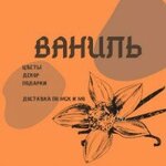 Ваниль (Novaya Street No:3), çiçekçiler  Reutov'dan