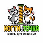 Kogti - I Tochka (Chistopolskaya Street No:61А), petshop  Kazan'dan