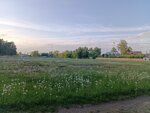 Старт (Moscow Region, Serpukhov), stadyum  Serpuhov'dan
