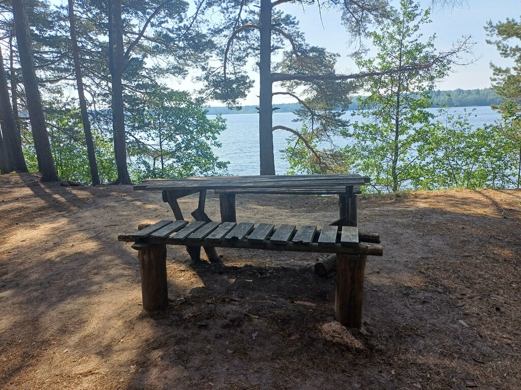 Plaj Пляж, Novgorodskaya oblastı, foto