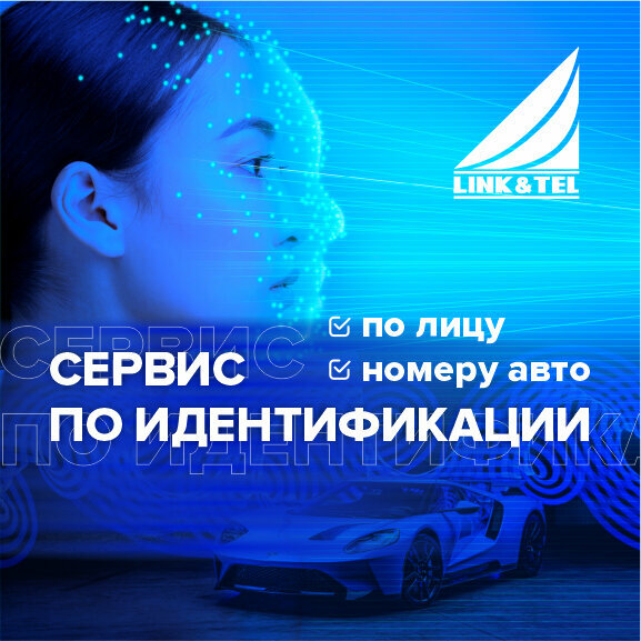 Bilişim firmaları NetBuilder, Lobnia, foto