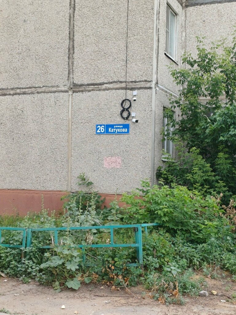 Hayvanat bahçesi merkezi Lipetsky oblastnoy tsentr sobakovodstva Frend, Lipetsk, foto