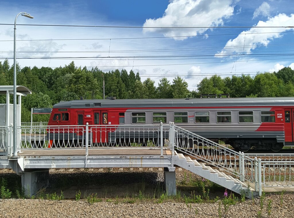 Yük istasyonu станция Лосево-1, Saint‑Petersburg ve Leningradskaya oblastı, foto