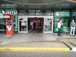 Печать фотографий (Pobedy Avenue No:200), fotoğraf hizmetleri  Cherepovets'ten