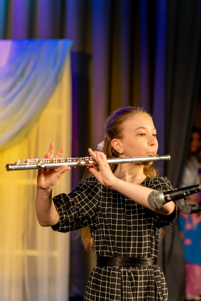Müzik okulları ve konservatuarlar Valery Brainin Music School, Nijni Tagil, foto