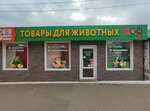 Zoo няня (Azina Street No:59), petshop  Sarapul'dan