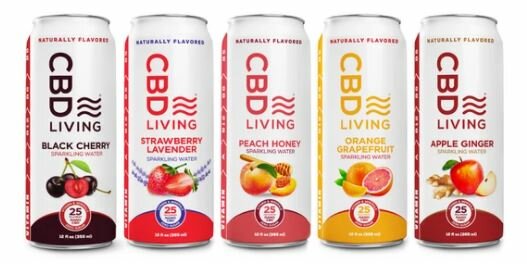 Alternatif tıp merkezleri Cloud 10 Wellness, Clarksville, foto