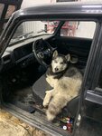 Техсервис (No:31, mikrorayon 17A), otomobil servisi  Nefteyugansk'tan