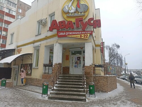 Market Dva gusya, Gomel, foto