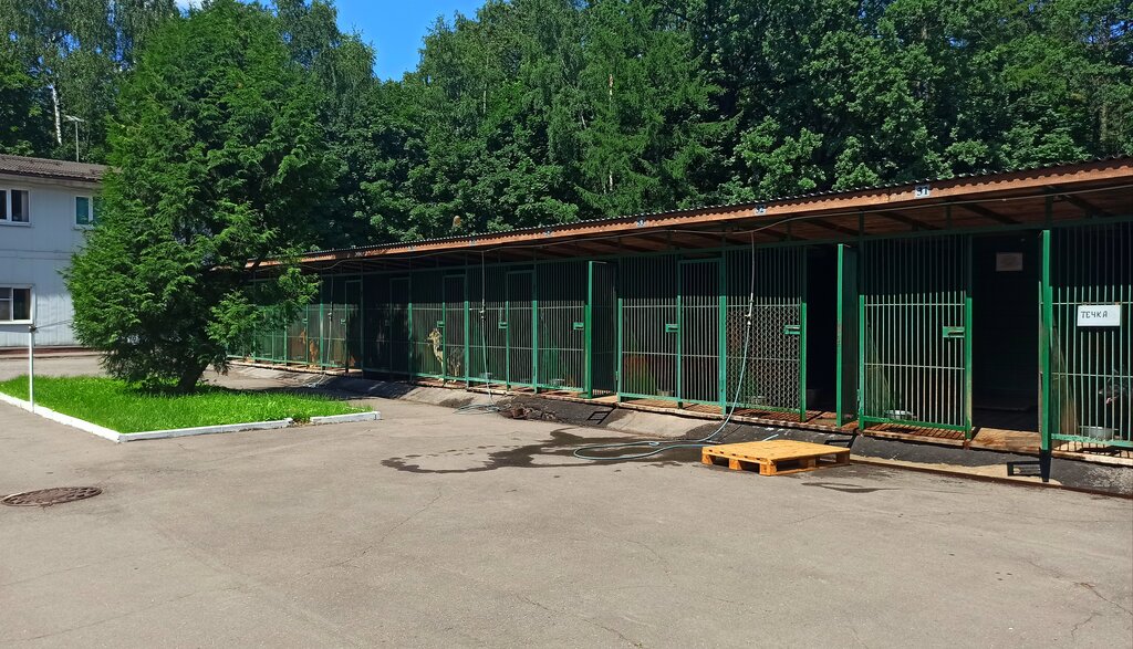 Polis merkezleri Tsentr kinologicheskoy sluzhby Uvd po Vostochnomu administrativnomu okrugu, Moskova, foto