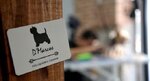 Peluquería canina D'marcos (Calle Arriaza No:7, Municipios Madrid), evcil hayvan kuaförleri  Madrid'den
