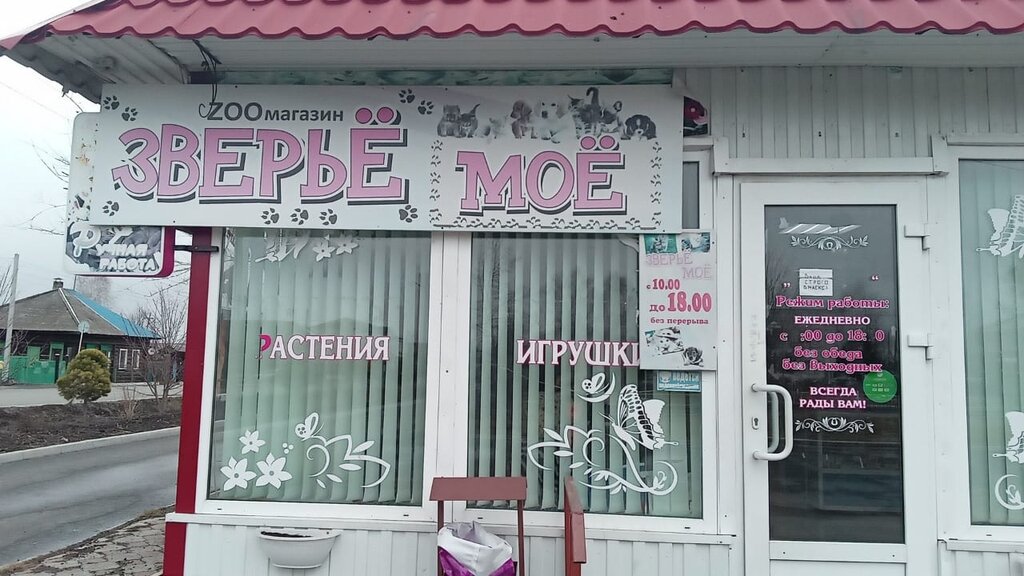 Petshop Зверье моё, Krasnoyarski krayı, foto