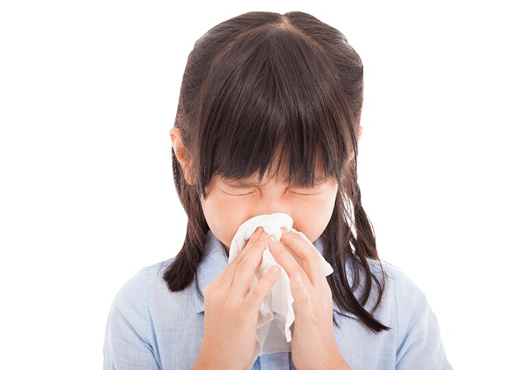 Plastik cerrahi klinikleri Mid State Ent - Gallatin, Gallatin, foto