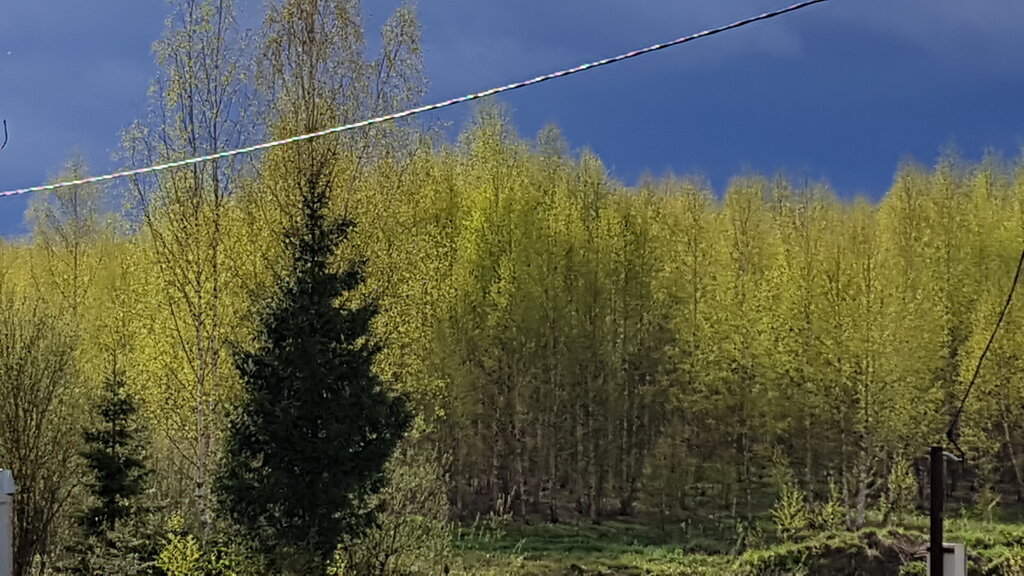 Bahçecilik dernekleri ve kuruluşları Клочково -1, Moskova ve Moskovskaya oblastı, foto