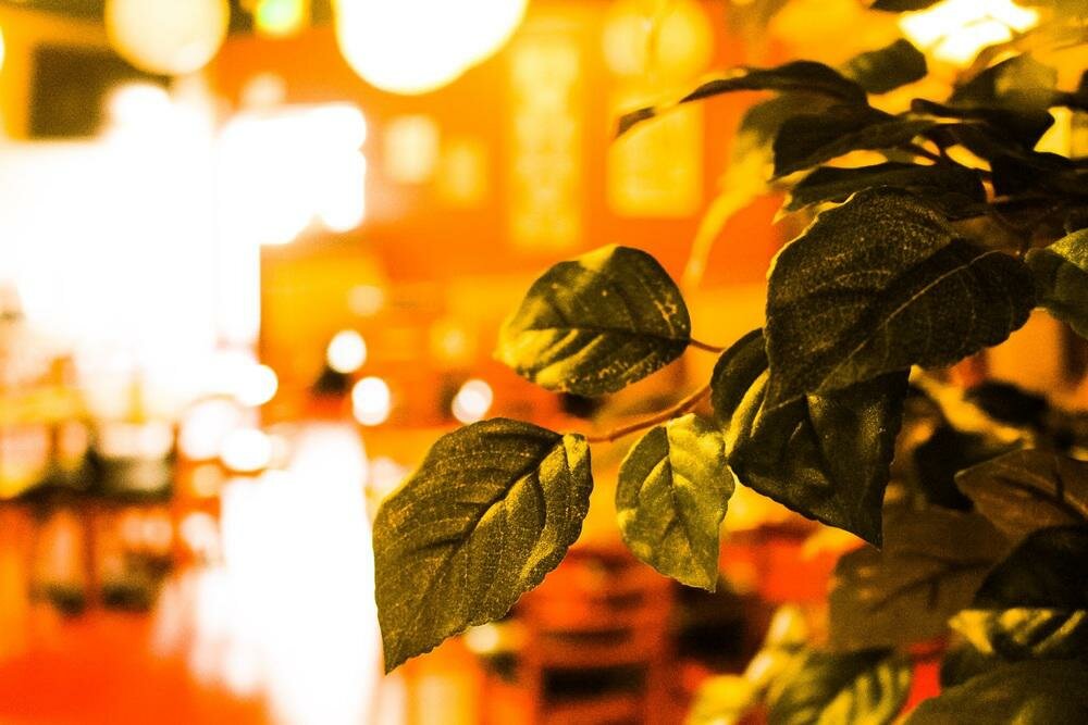 Suşi restoranı Wasabi Sushi, Boise, foto