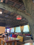Киликия (Zarechnaya ulitsa No:2/1, selo Dederkoy), kafe  Krasnodarski krayından