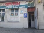 Саженцы (Zmeinogorskiy Highway No:49), tohum satan yerler  Barnaul'dan