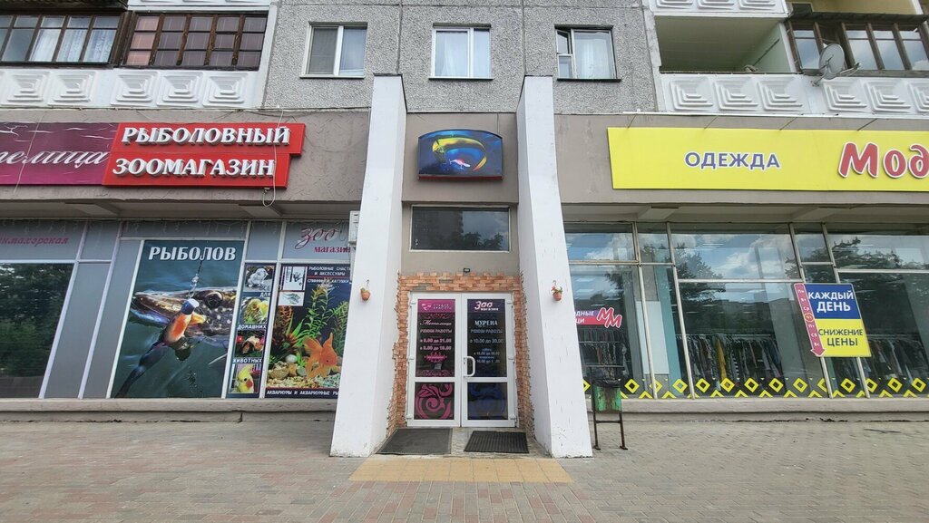 Balıkçılık ekipman firmaları Murena, Minsk, foto