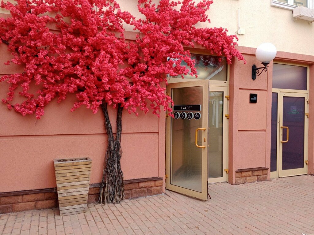 Anne ve çocuk odası Комната матери и ребенка, Moskova, foto