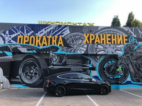 Oto lastik tamiri Оазис, Kaliningradskaya oblastı, foto