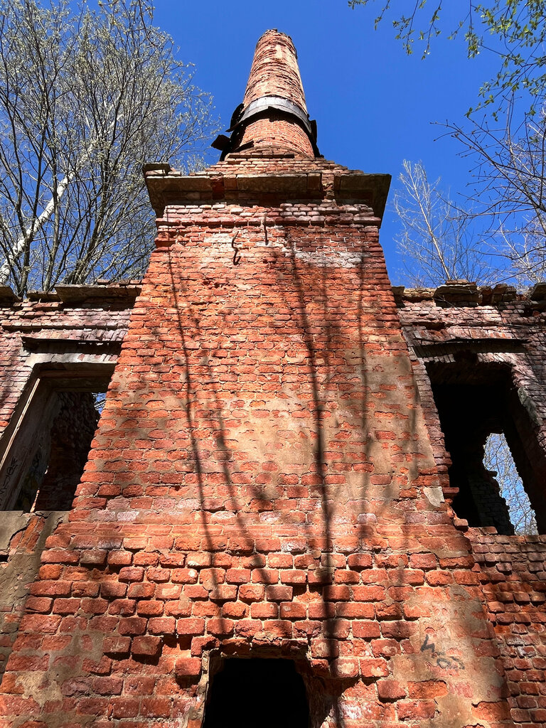 Turistik yerler Здание водоподъёмной машины, Peterhof, foto