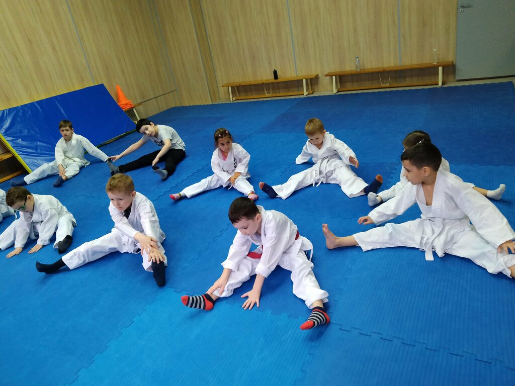 Spor kulüpleri Союз Каратэ-До, Moskova ve Moskovskaya oblastı, foto