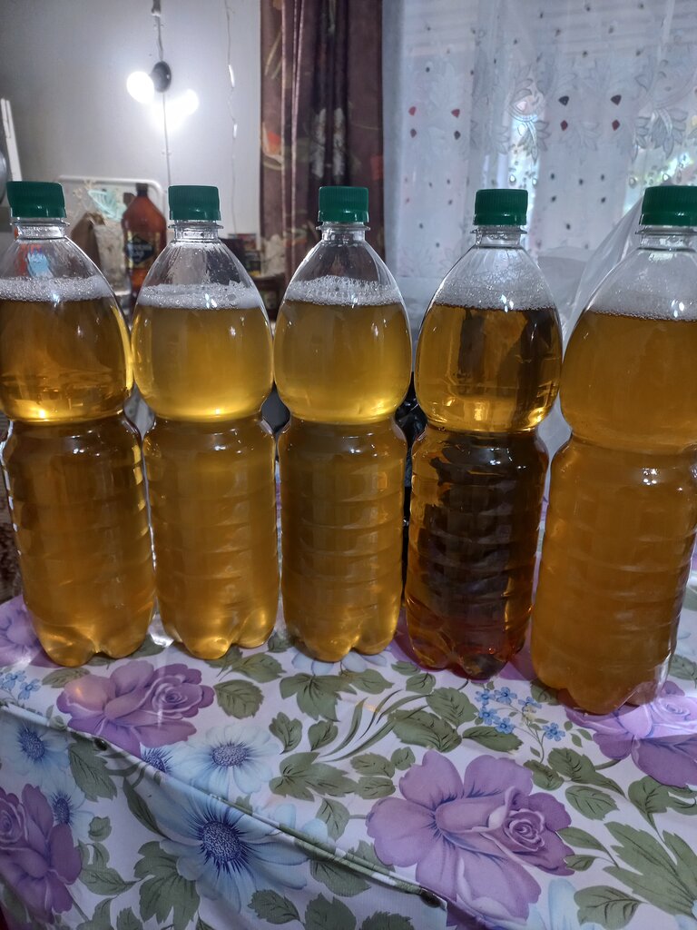 Bira dükkanı Bavaria Volzhsky, Voljski, foto