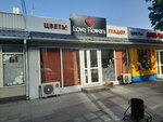 Love Flowers (Chui avenue No:54), çiçekçiler  Bişkek'ten