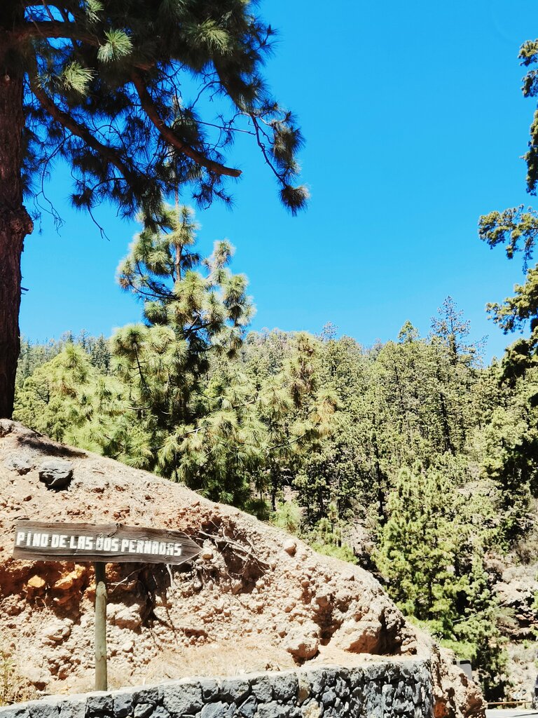 Turistik yerler Pina de las dos Pernadas, Kanarya Adaları, foto